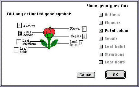 Hands On Genetics: Programs: Mendelsim